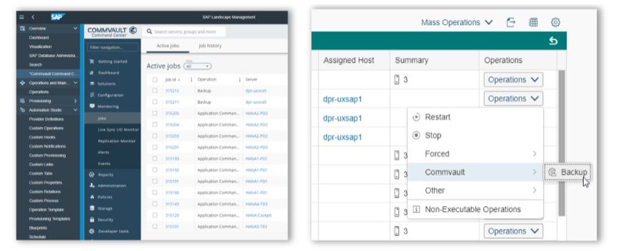 Protecting & Managing SAP Systems With Commvault & NetApp Protecting & Managing SAP Systems With Commvault & NetApp