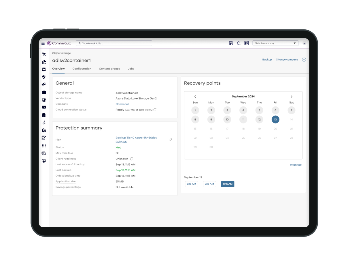 File And Object Archive Commvault
